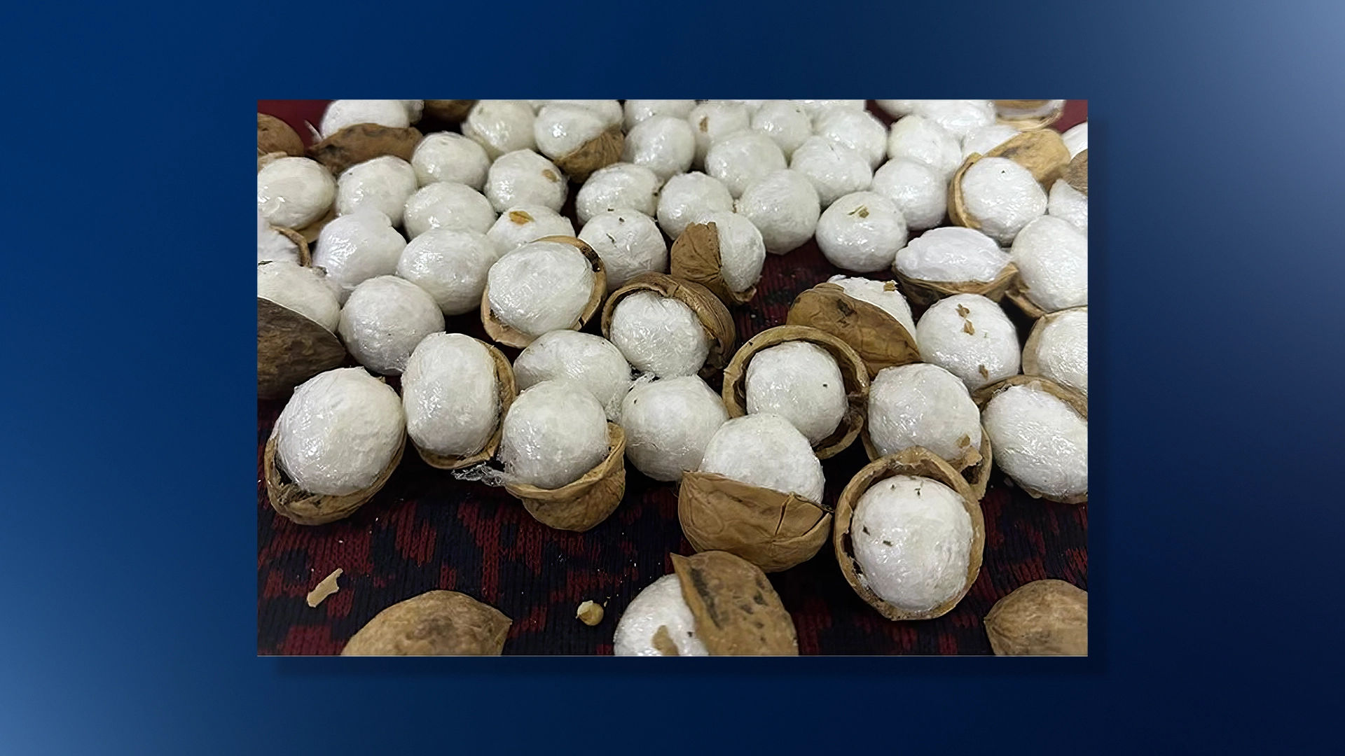 Eleven arrested in Iraq after drugs discovered hidden in walnut shells