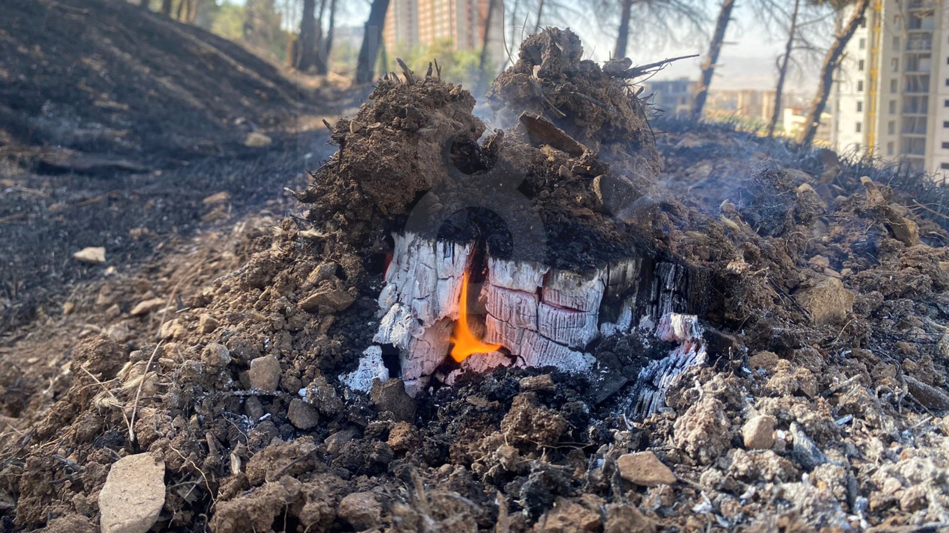 Goizha Mountain Fire Contained After Four-Hour Battle