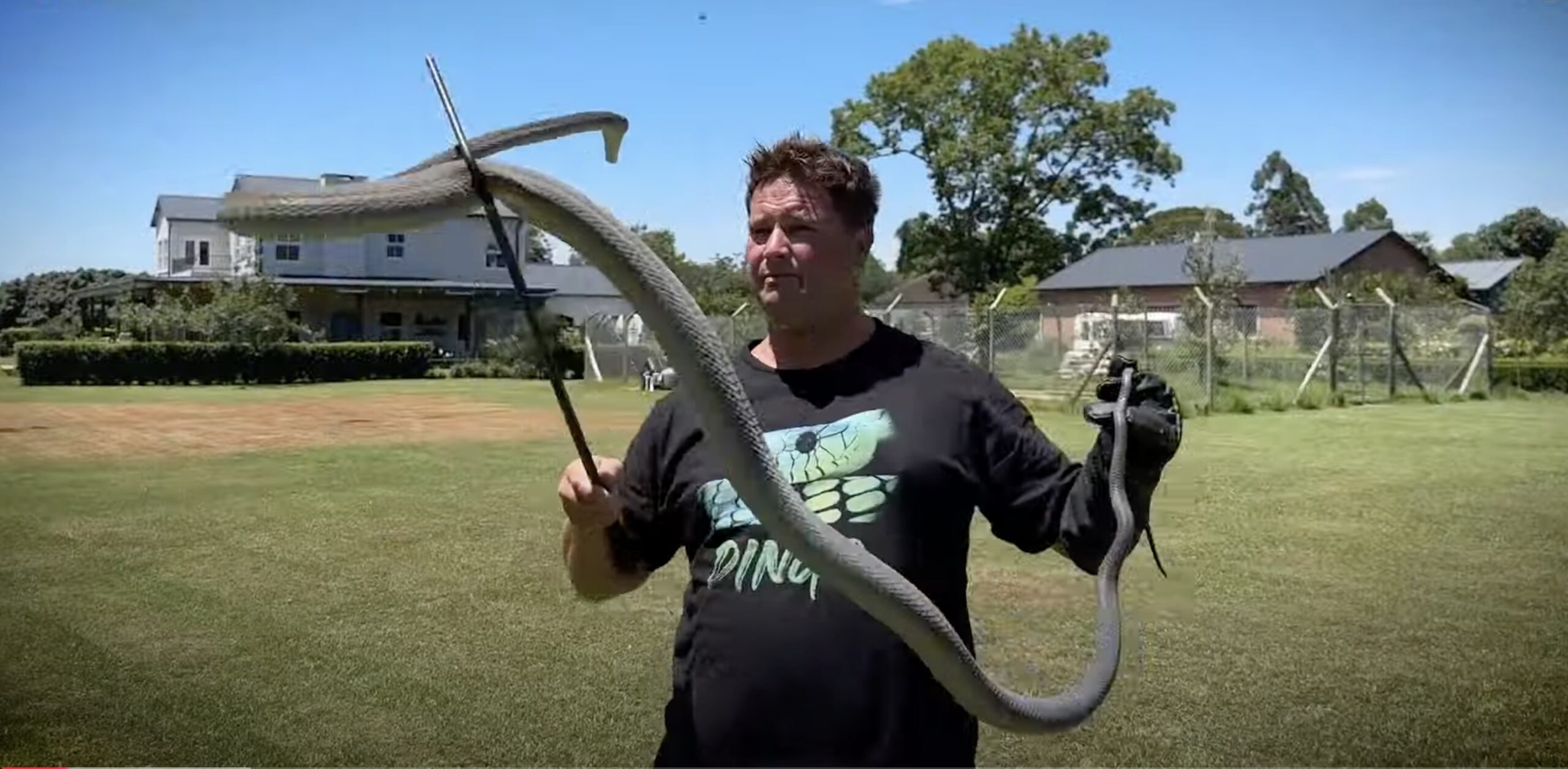 One of The Famous YouTuber Dies In Cobra Attack