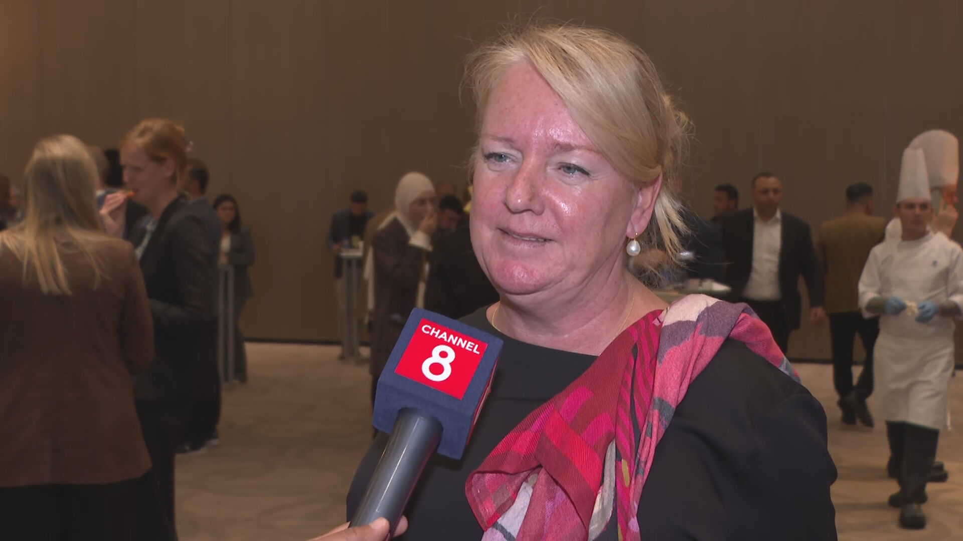 Netherlands’ Ambassador Calls for Inclusive and Transparent Government ...